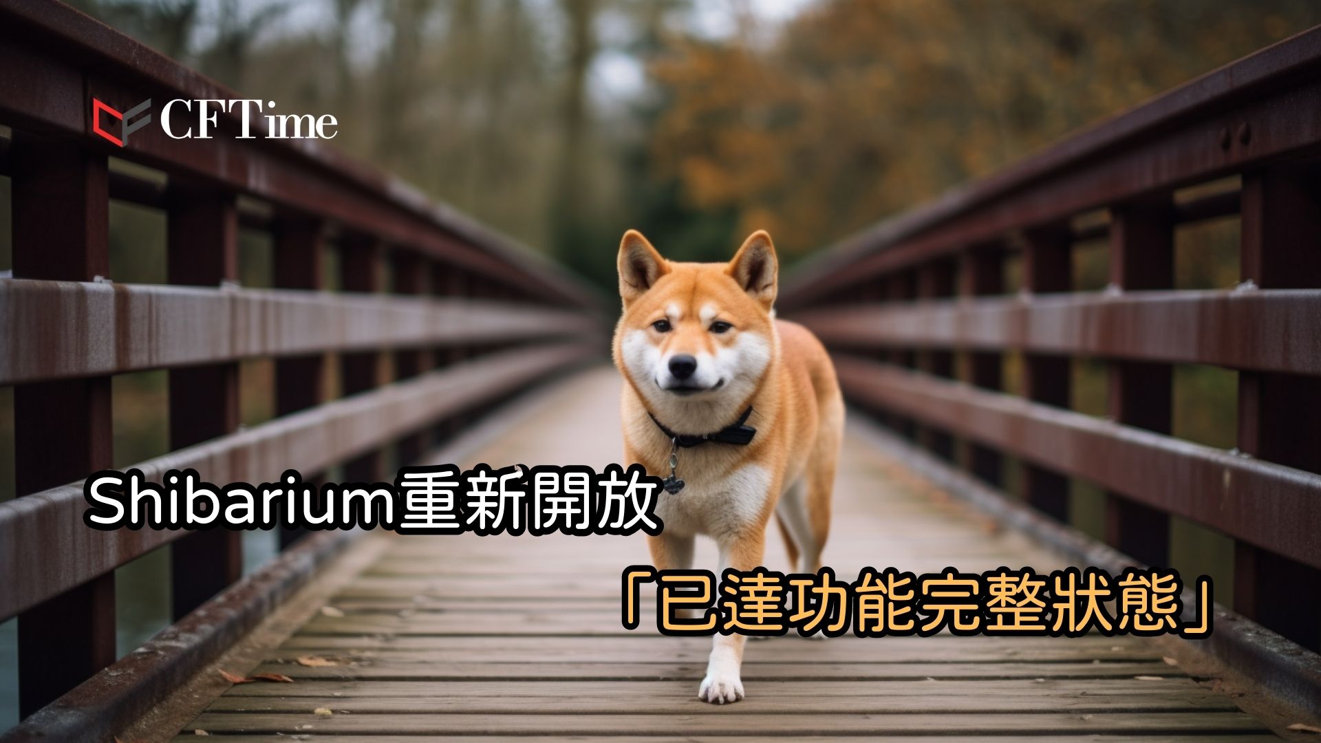 Shiba Inu旗下Shibarium重新開放 「已達功能完整狀態」 - cftime.io